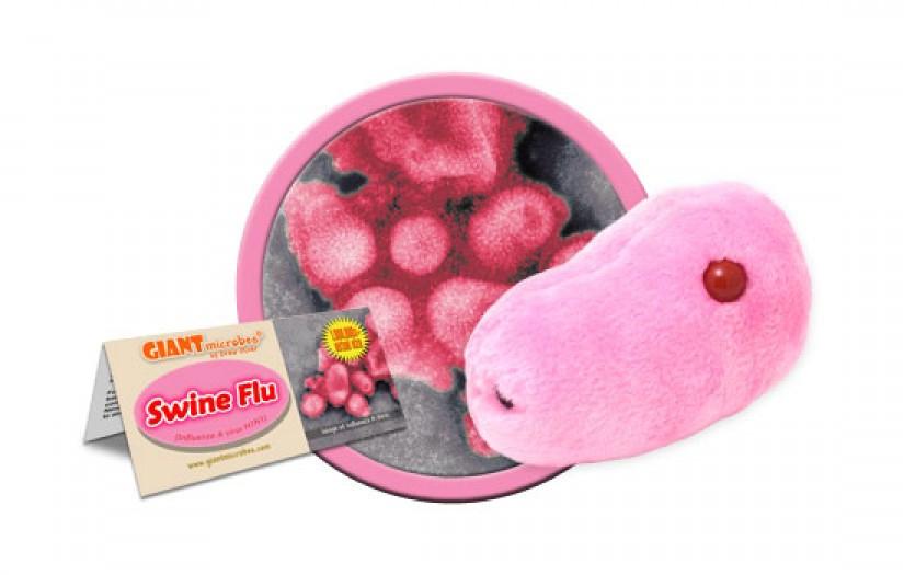 Wacky & Useful GIANTmicrobes® Swine Flu Plush Doll – Foxx Life Sciences